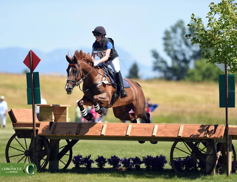 Area I Catapults To The NAJYRC CCI* Lead - The Chronicle of the Horse