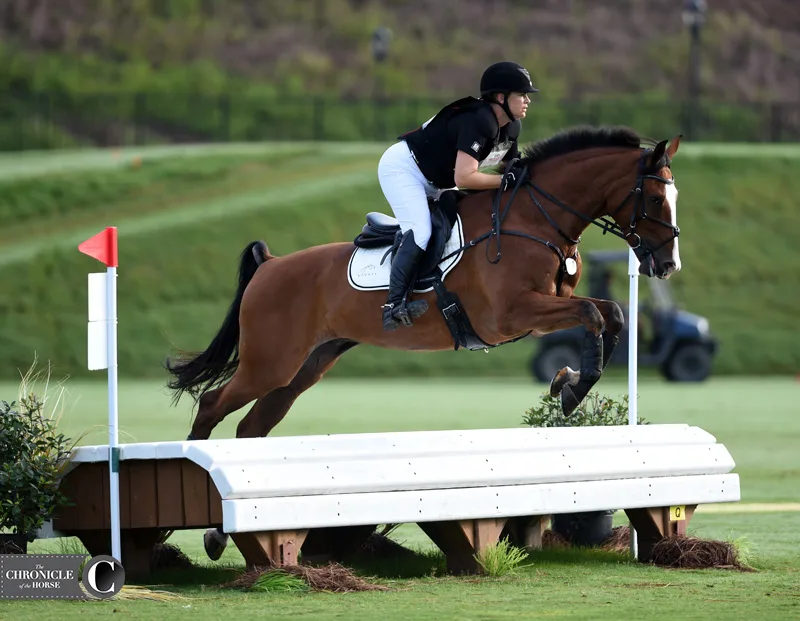 Beginner Novice Takes Center Stage At The AEC - The Chronicle of the Horse