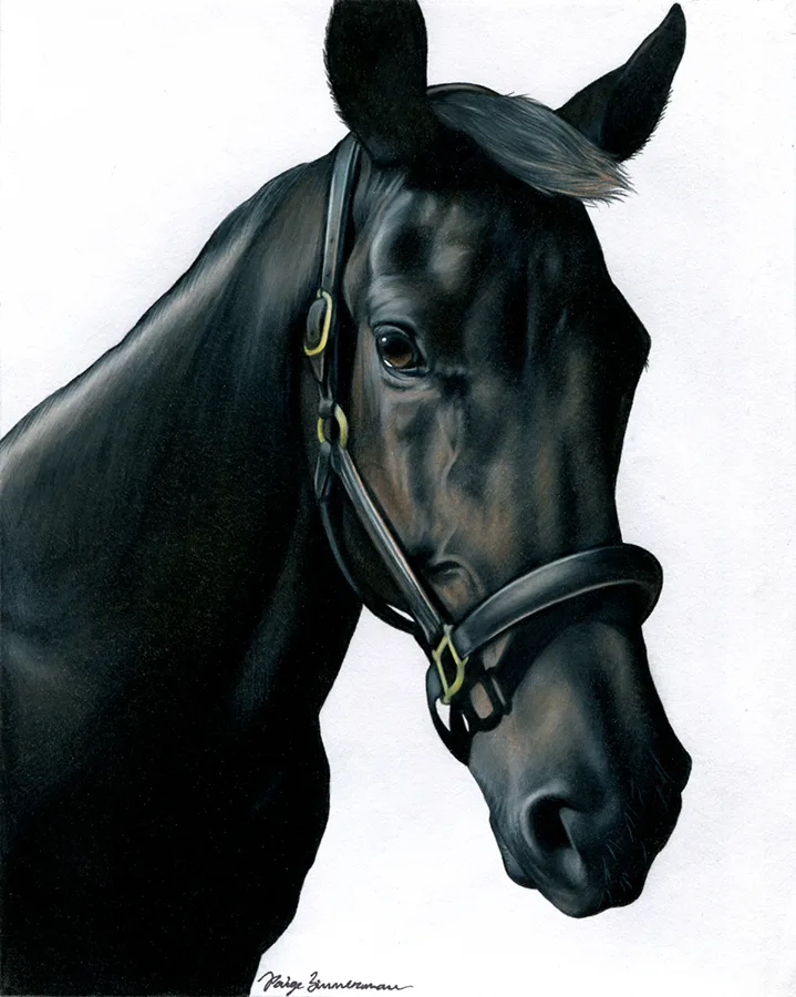 2021 Junior Gallery - The Chronicle of the Horse