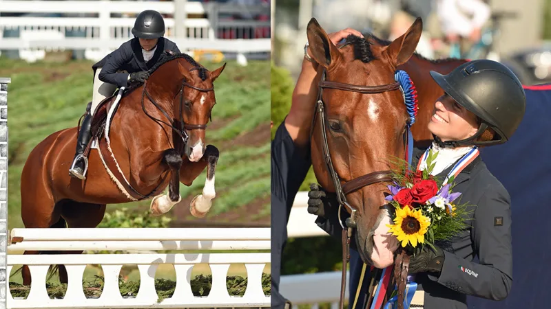 From Wrangler To USHJA Green Hunter Incentive Champion - The Chronicle ...