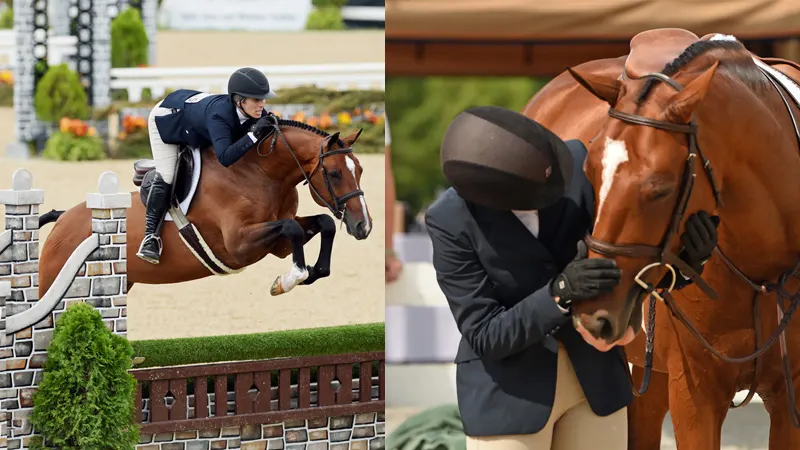 Green Horses Galore: Scenes From The Platinum Performance USHJA Green ...