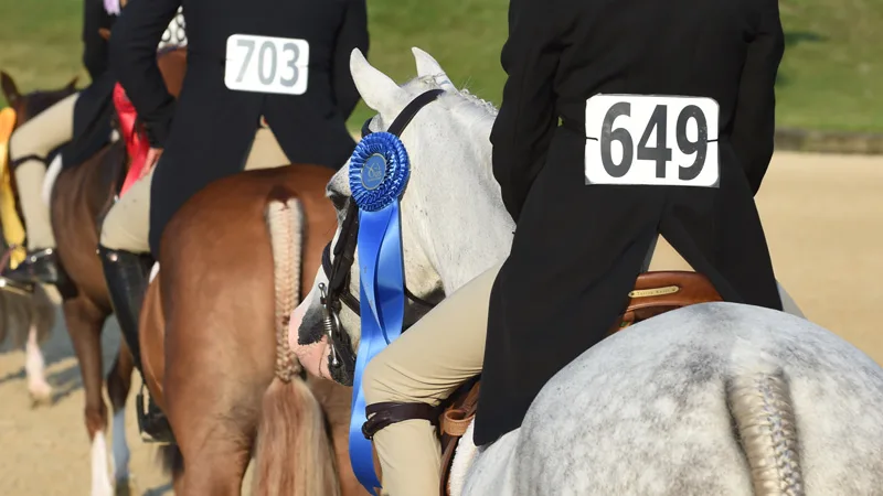 The First Timer's Guide To USEF Pony Finals - The Chronicle of the Horse