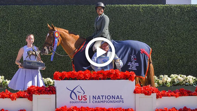 Watch Why They Won: Smart Riding At USEF Junior Hunter National ...