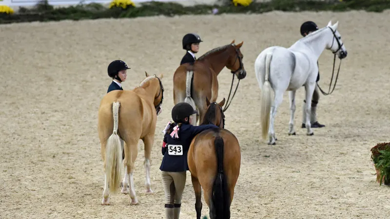 From The Magazine: What's Your Most Embarrassing Pony Story? - The ...