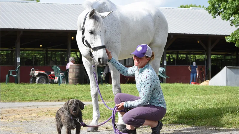 Behind The Stall Door With: Olney Uncle Sam - The Chronicle of the Horse