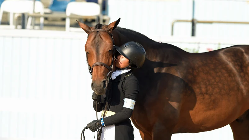 Destined For Devon Greatness - The Chronicle of the Horse