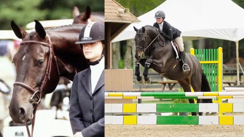 Reuniting With Lex Luther - The Chronicle of the Horse