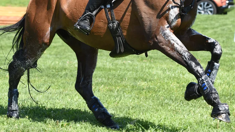 USEF Names Elite Program Task Force For Eventing Amid Leadership Void ...