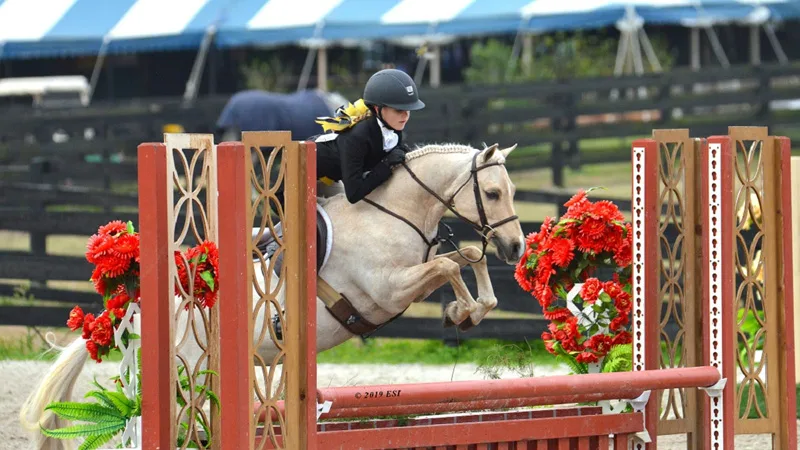 Junior Spotlight: Studstill Scores Her First Big Win - The Chronicle of ...