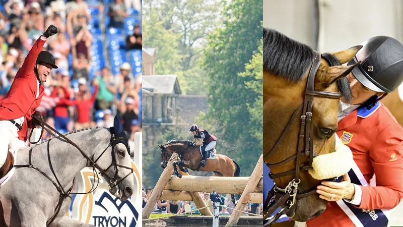 Daring Jump-Offs, Special Moments And Bucket List Items: The Chronicle ...