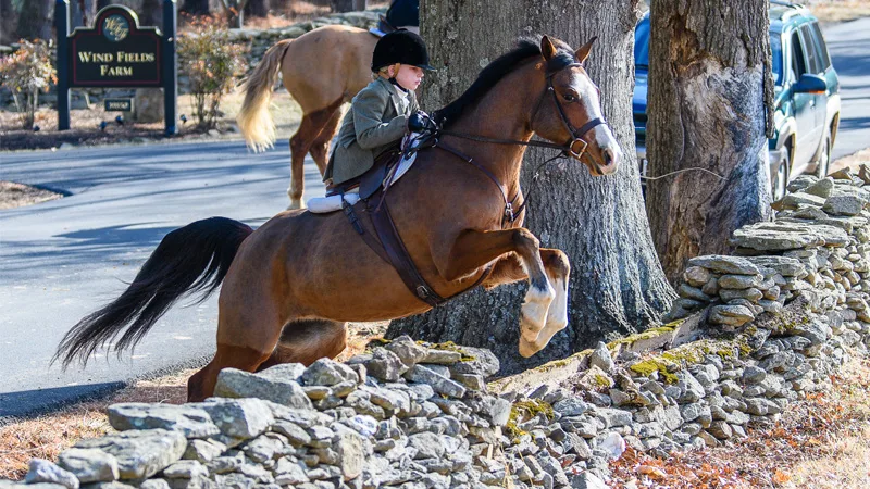 Young Pemberton Is Carrying On An Old Tradition - The Chronicle of the ...