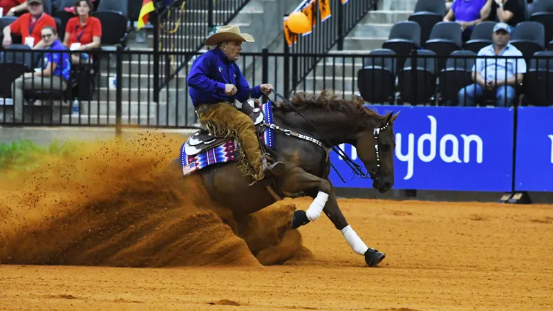 Team USA Dominates Reining At The World Equestrian Games - The ...