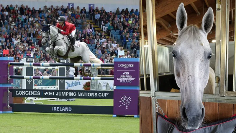 Jamie Barge Has Enjoyed Every Moment Of Her Road To The WEG - The ...