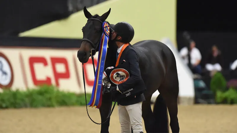 Your 2017 Junior Hunter Champions At The CP National Horse Show - The ...