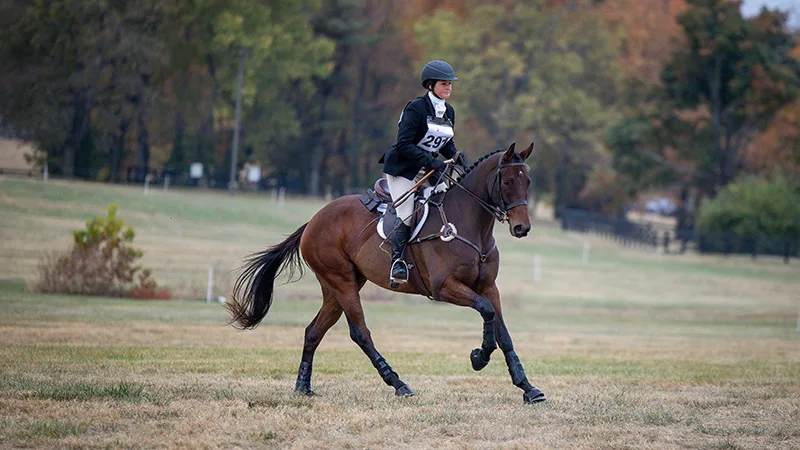 Back From The Brink: Thoroughbred Makeover Competitor Goes From New ...