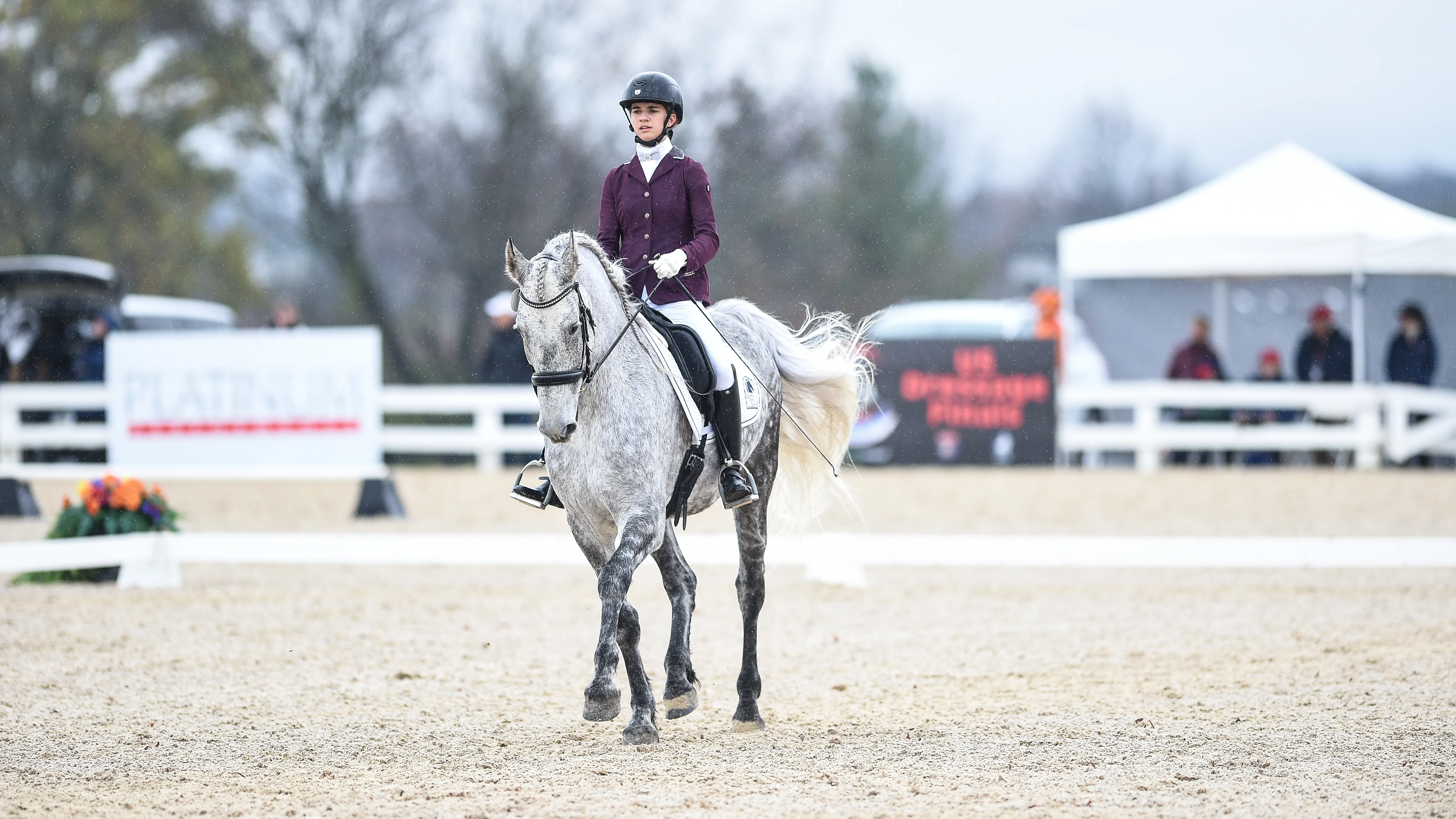 Warlander Gelding Takes His Young Rider To Her First U.S. Dressage ...