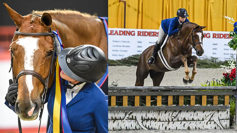 Deaf Horse Earns Grand Champion At Pennsylvania National - The ...