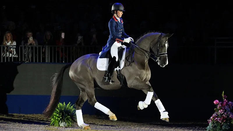 Throwback Thursday: Valegro Gets To Live His Dream Of Food And The ...