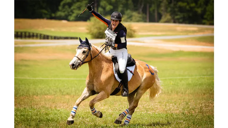 After Years Of Touring The U.S., Pony Returns Home To Win A ...