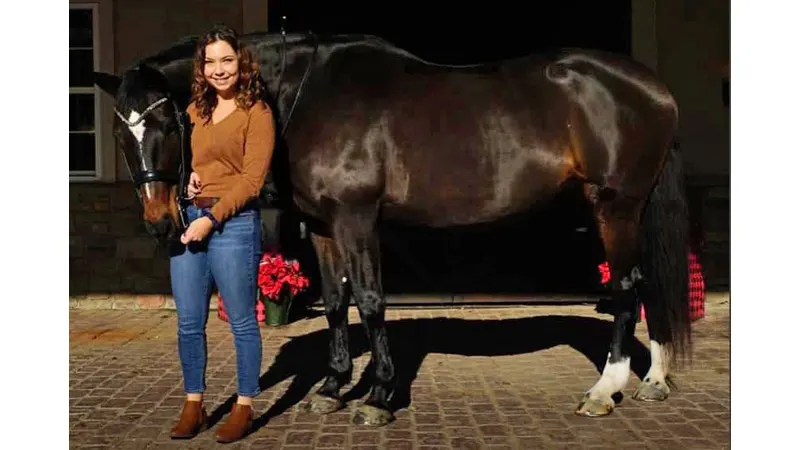 Becoming A Mare Person - The Chronicle of the Horse