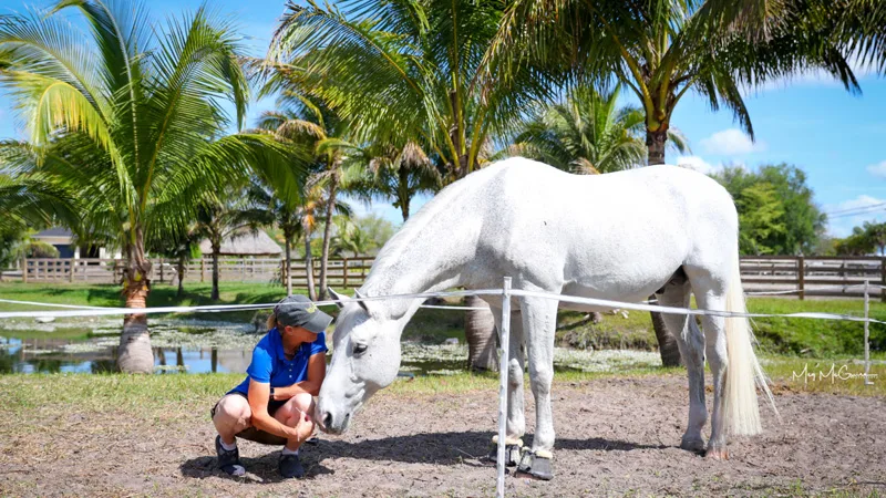 Throwback Thursday: Going Behind The Stall Door With Lord Locksley ...