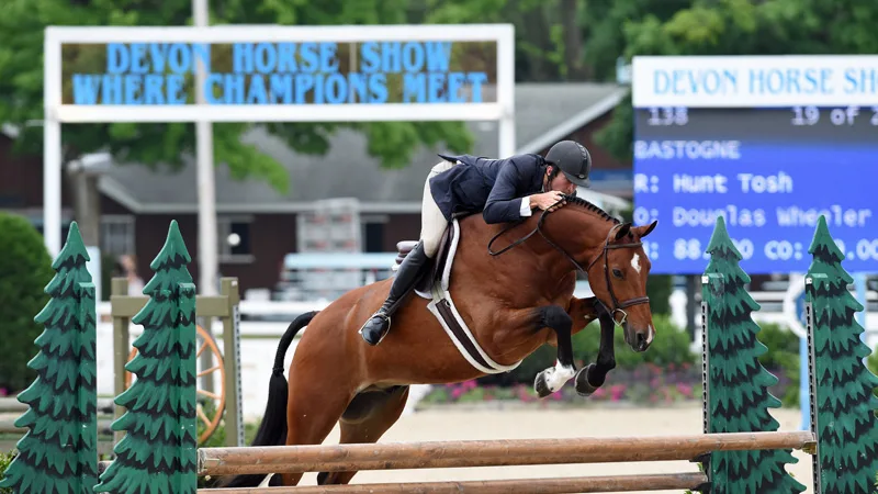 What You Need To Know: 2022 Devon Horse Show - The Chronicle of the Horse
