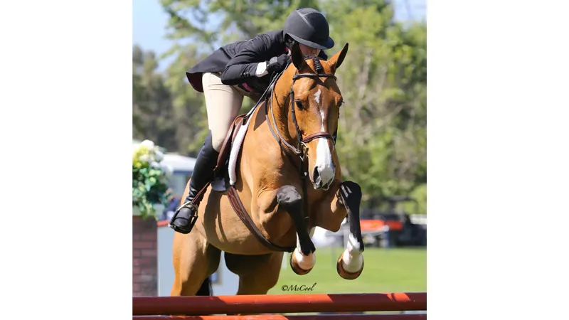 Taylor Prevails In A Tight Race In $25,000 WCHR West Coast Hunter ...