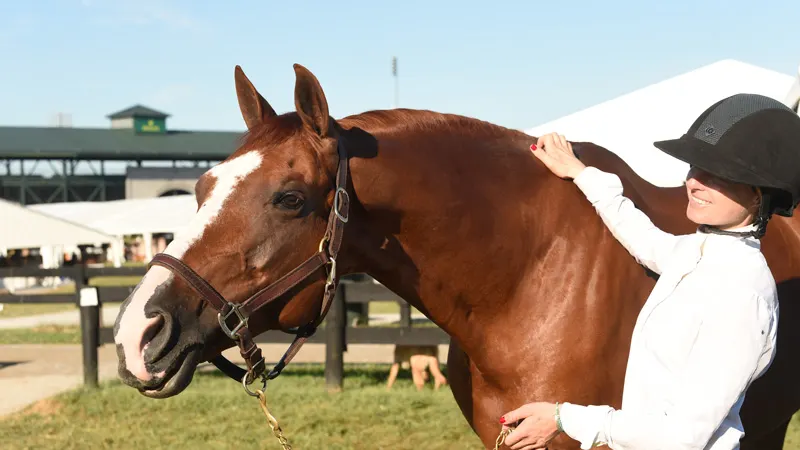 Behind The Stall Door With: Red Ryder - The Chronicle of the Horse