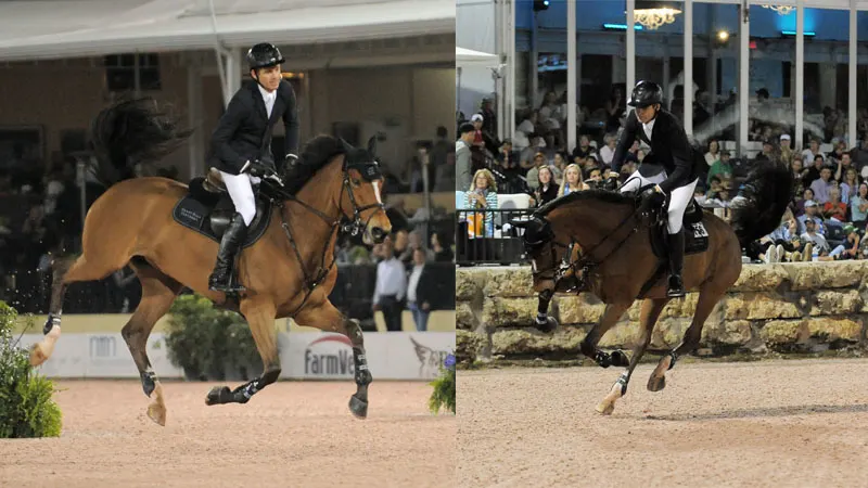 Mändli's Mare Wins Most Adorable Finish Line Antics - The Chronicle of ...