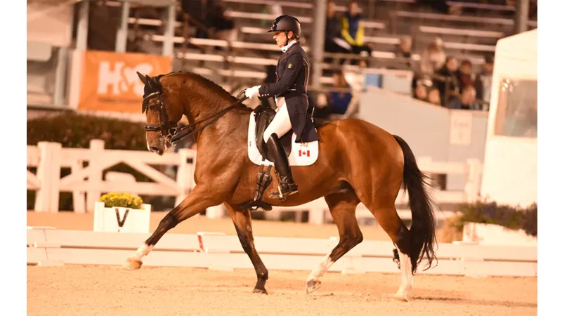 Young At Heart, Chrevis Christo Tops ShowPlus Dressage At Devon CDI3 ...