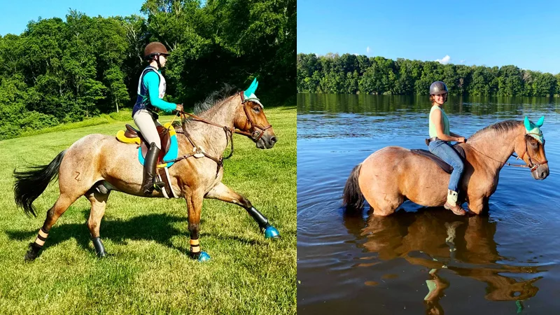 A Whole Lot Of Heart - The Chronicle of the Horse