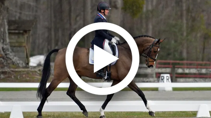 What Does A 15 Look Like In Eventing Dressage? - The Chronicle of the Horse
