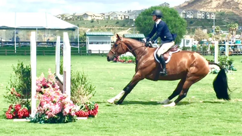 Amateurs Like Us: I’m Not Ashamed Of My Riding Fails, And You Shouldn’t ...