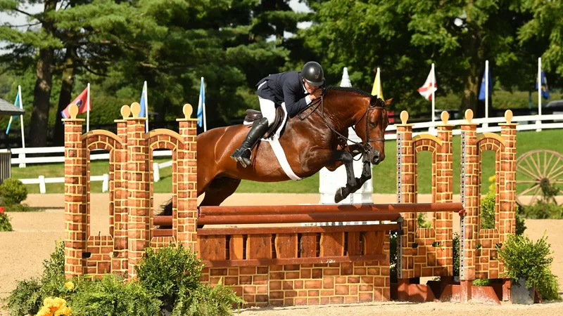 Payne Maximizes Time At Home For Platinum Performance USHJA Green ...