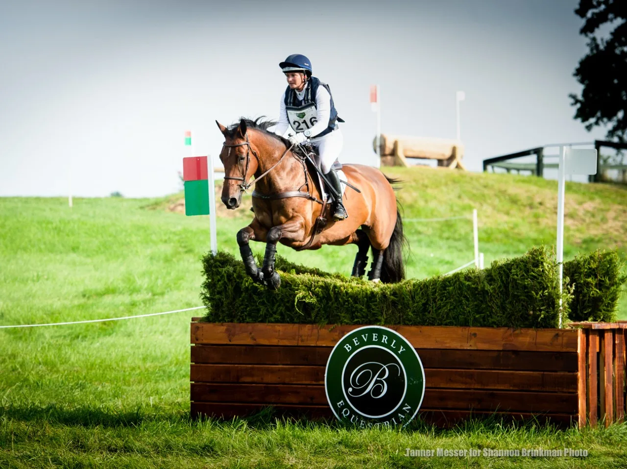 FEI Groom Wanted For Upper Level Eventing– HSB Eventing - The Chronicle ...