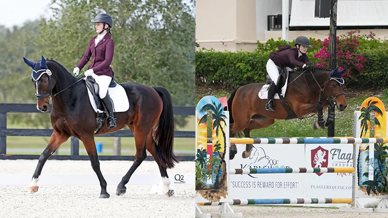 Amateur Showcase: Hunter/Jumper Attorney Maddy Thatcher Has Found The ...