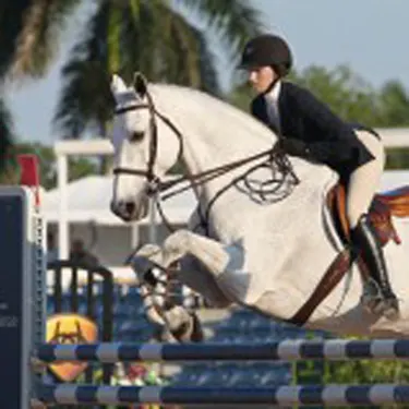 2015 George H. Morris Excellence in Equitation Championship - Live ...