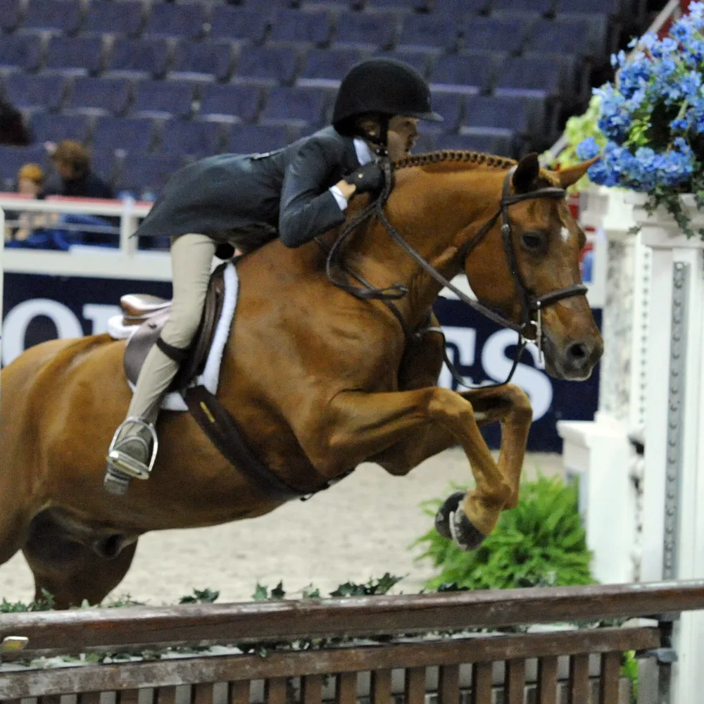 Farah Rizvi Leads The Way In The Pony Hunters - The Chronicle of the Horse