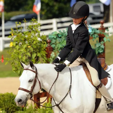Blueberry Hill Picks Up Small Pony Championship At USEF Pony Finals ...