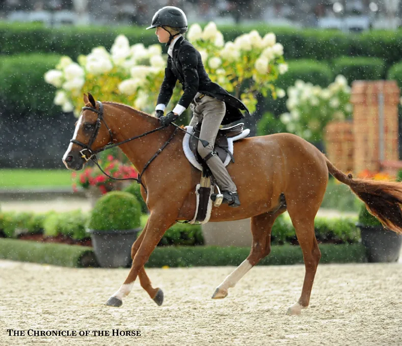 Bieling's Prince Came Back At USEF Pony Finals - The Chronicle of the Horse