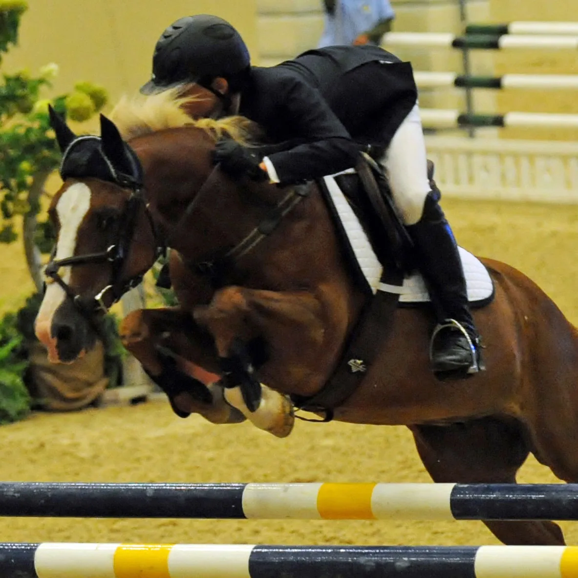 Dean Dominates USEF National Pony Jumper Championship - The Chronicle ...