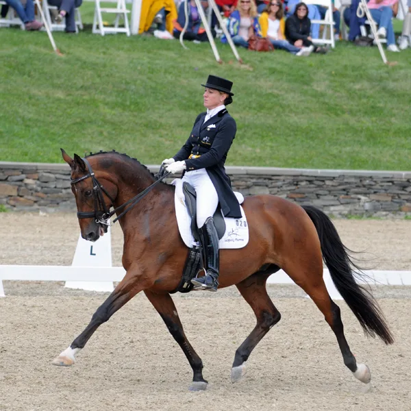 Taylor Sweeps Saugerties CDI-W Freestyle - The Chronicle of the Horse