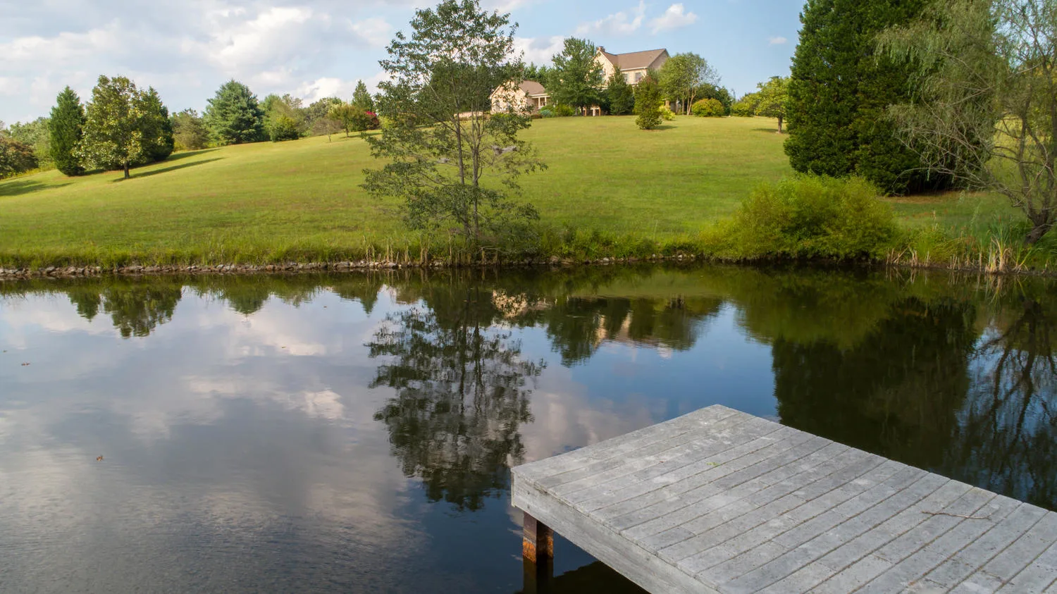Roanoke Farm for Sale - The Chronicle of the Horse