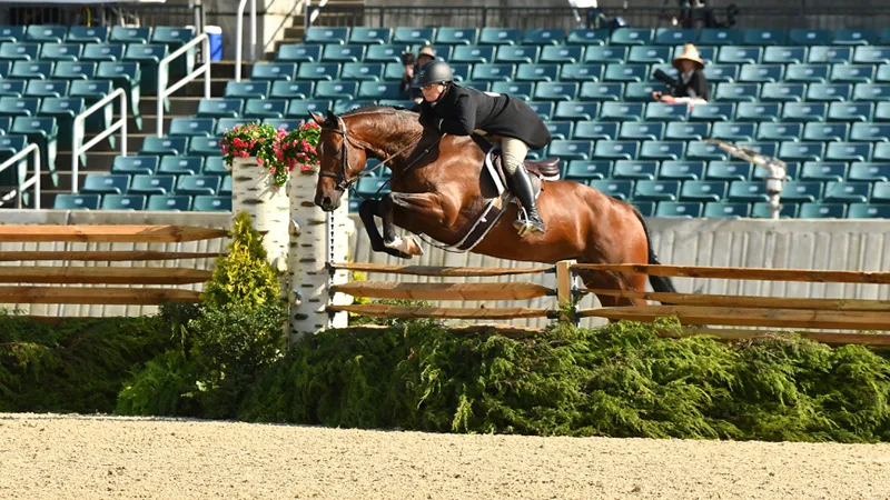 Ringside Chat: Get To Know Rising Star Marisa Metzger - The Chronicle ...