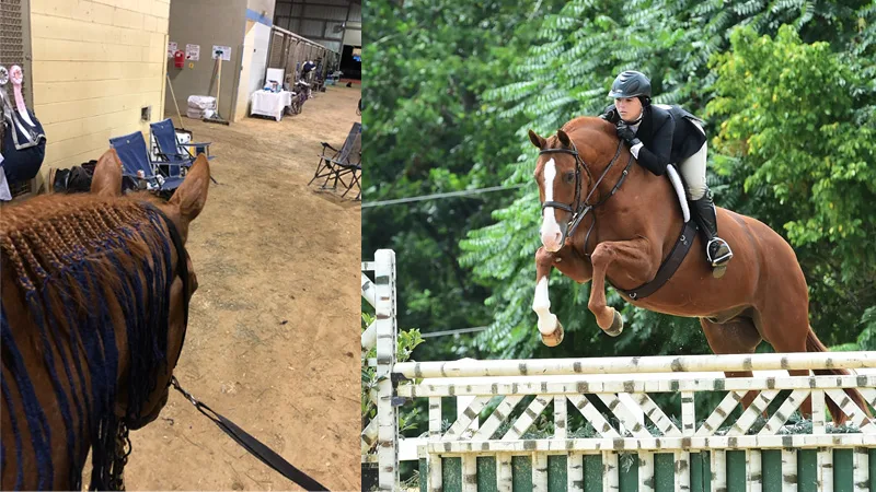 A Day In The Life With: Brooke Cole - The Chronicle of the Horse
