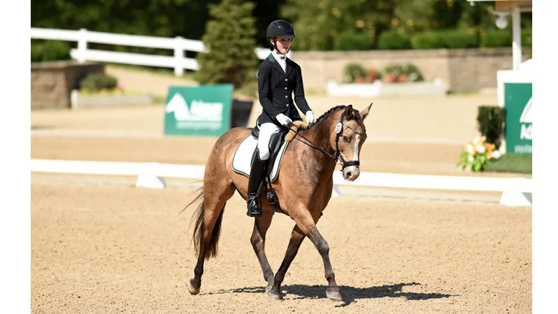 My Merry Way Makes His Merry Way To U.S. Dressage Festival Of Champions ...