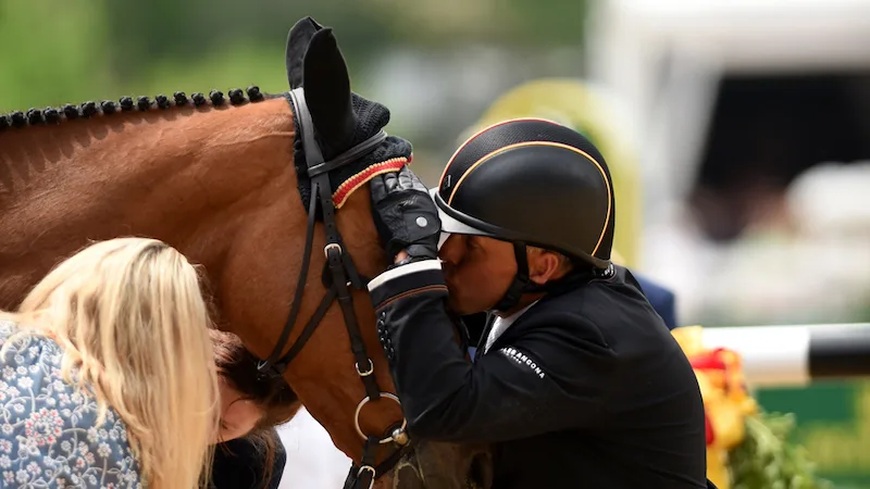 Ballynoe Castle RM Dies At 20 - The Chronicle of the Horse