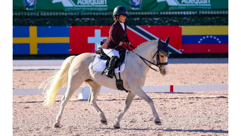 Ringside Chat: Meghan Benge Talks Power Ponies And Personal Expression - The Chronicle of the Horse