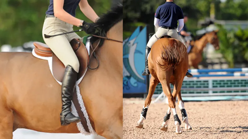 Practice Moderation And Find Your Balance When Riding Without Stirrups ...