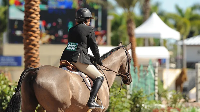 Recognizing Riding-Related Anxiety (And How To Fix It) - The Chronicle ...